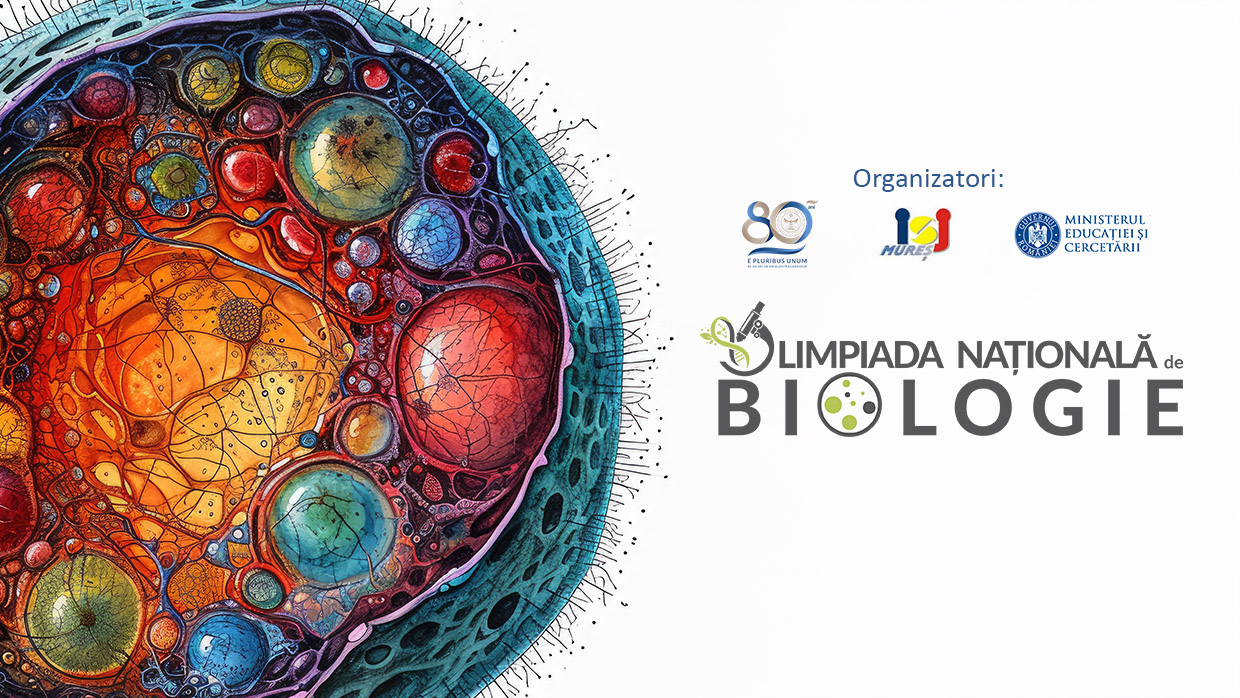 UMFST - Universitate